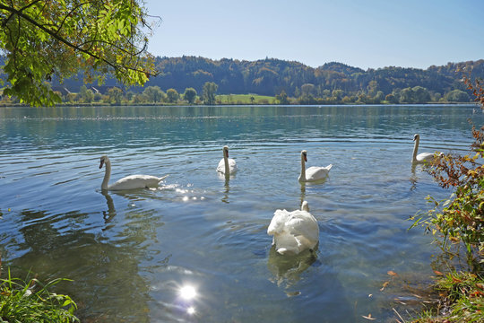 Wohlensee Images – Browse 116 Stock Photos, Vectors, and Video | Adobe ...
