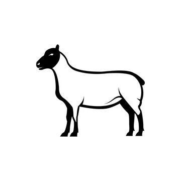 Sheep Side View Drawing