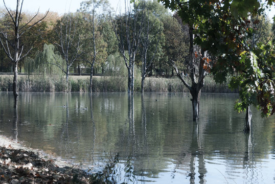 Peschi bilder – Bläddra bland 82 stockfoton, vektorer och videor ...