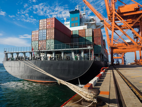 Imgd Images – Browse 40 Stock Photos, Vectors, and Video | Adobe Stock