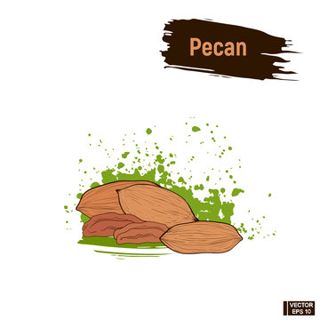 รูปภาพPacane – เลือกดูภาพถ่ายสต็อก เวกเตอร์ และวิดีโอ230 | Adobe Stock