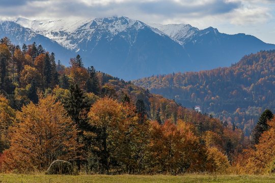 Silance Images – Browse 57 Stock Photos, Vectors, and Video | Adobe Stock