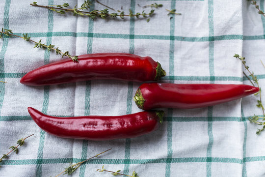 Hurbs Images – Browse 48 Stock Photos, Vectors, and Video | Adobe Stock