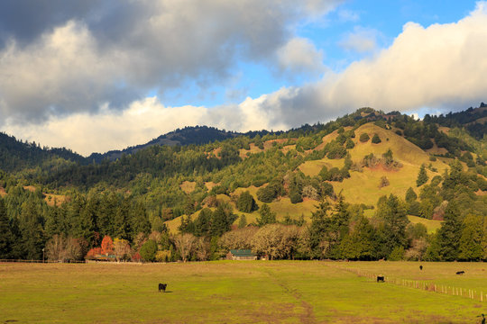 "Northern California" Images – Browse 33,082 Stock Photos, Vectors, and ...