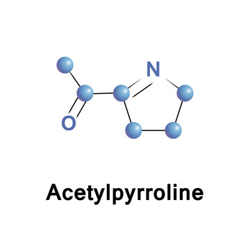 Prolin Images – Browse 50 Stock Photos, Vectors, and Video | Adobe Stock