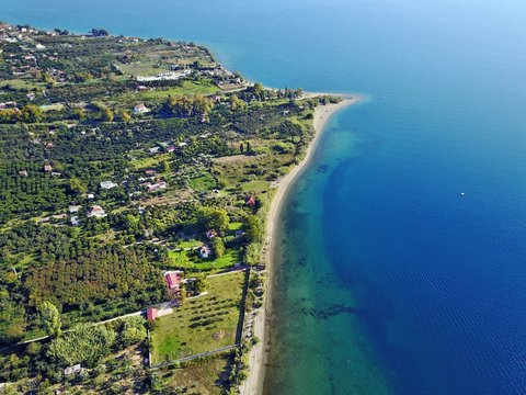 Agria Bilder – Durchsuchen 231 Archivfotos, Vektorgrafiken und Videos ...