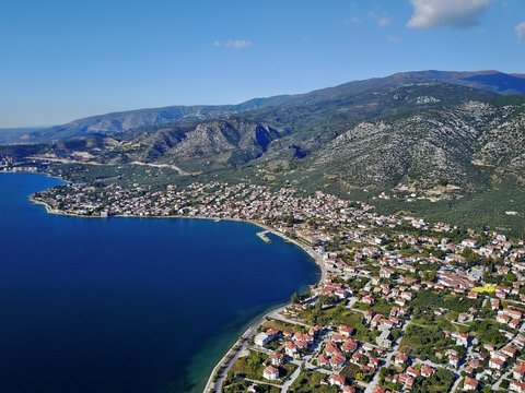 Agria Bilder – Durchsuchen 231 Archivfotos, Vektorgrafiken und Videos ...