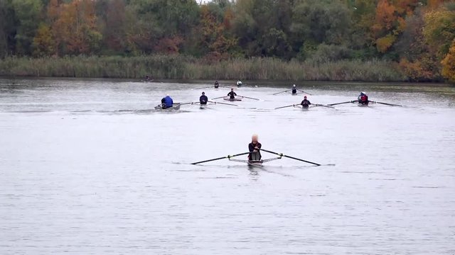 Strickle Images – Browse 31 Stock Photos, Vectors, and Video | Adobe Stock