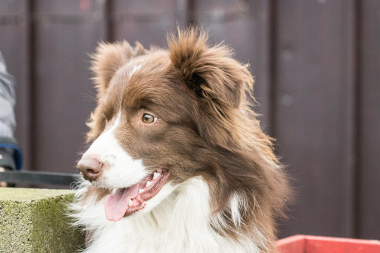 รูปภาพAdukt – เลือกดูภาพถ่ายสต็อก เวกเตอร์ และวิดีโอ203 | Adobe Stock