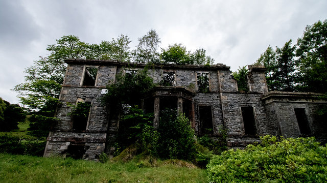 「Tomich」の写真素材 | 13件の無料イラスト画像 | Adobe Stock