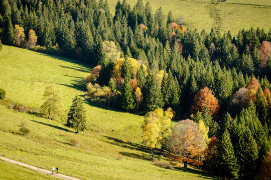 รูปภาพArgant – เลือกดูภาพถ่ายสต็อก เวกเตอร์ และวิดีโอ383 | Adobe Stock