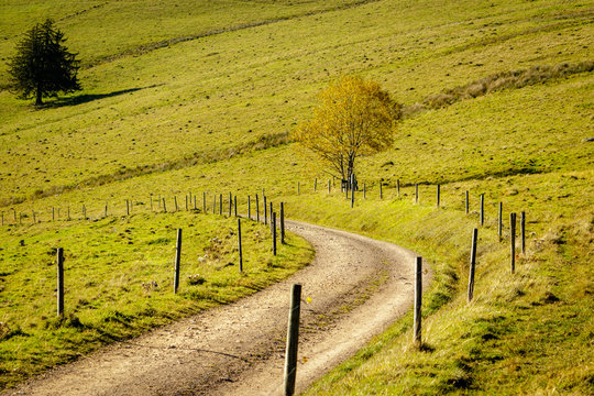 รูปภาพArgant – เลือกดูภาพถ่ายสต็อก เวกเตอร์ และวิดีโอ383 | Adobe Stock