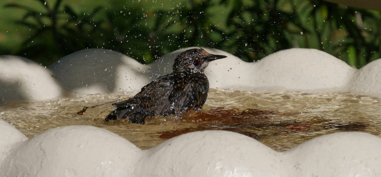 รูปภาพBadender – เลือกดูภาพถ่ายสต็อก เวกเตอร์ และวิดีโอ198 | Adobe Stock