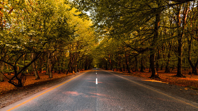 Roard Images – Browse 44 Stock Photos, Vectors, and Video | Adobe Stock