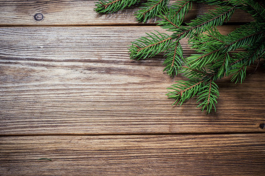 รูปภาพX-Tree – เลือกดูภาพถ่ายสต็อก เวกเตอร์ และวิดีโอ679 | Adobe Stock