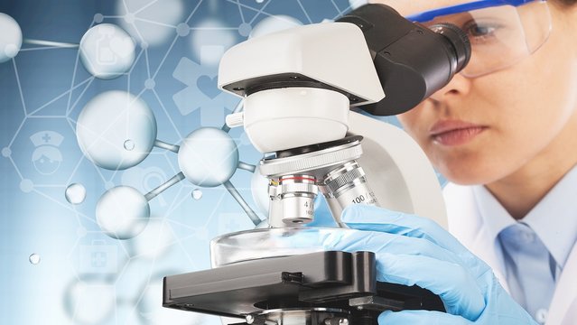 Bioethics Images – Browse 497 Stock Photos, Vectors, and Video | Adobe ...