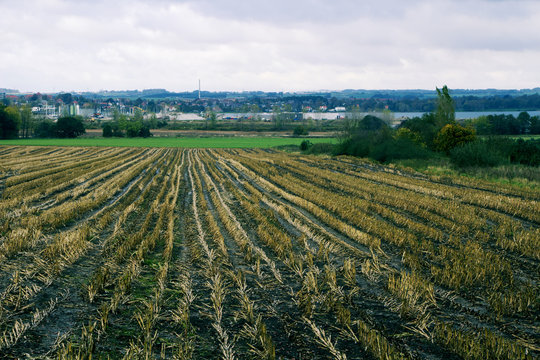 "Ground Shot"-Bilder: Stock-Fotos & -Videos. | Adobe Stock