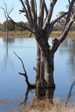 Barraba Images – Browse 8 Stock Photos, Vectors, and Video | Adobe Stock