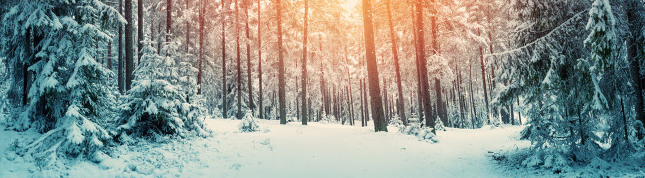 Snowscape Images – Browse 18,233 Stock Photos, Vectors, and Video ...