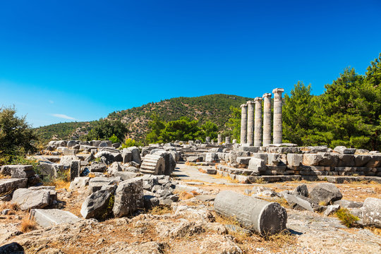 Helenistic Images – Browse 230 Stock Photos, Vectors, and Video | Adobe ...