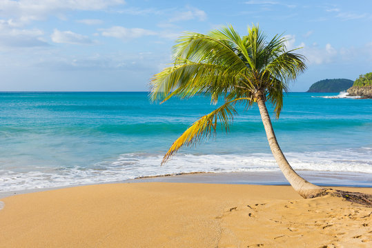 Gwada Images – Parcourir 696 le catalogue de photos, vecteurs et vidéos ...