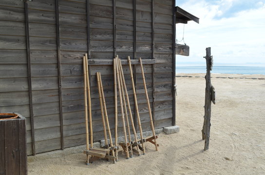 Syodo Images – Browse 14,807 Stock Photos, Vectors, and Video | Adobe Stock