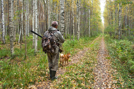 Forest Hunter Bilder – Durchsuchen 199,996 Archivfotos, Vektorgrafiken ...