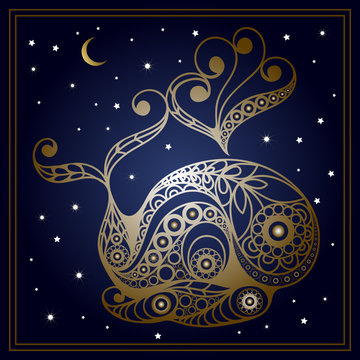 Cetus Images – Browse 148 Stock Photos, Vectors, and Video | Adobe Stock