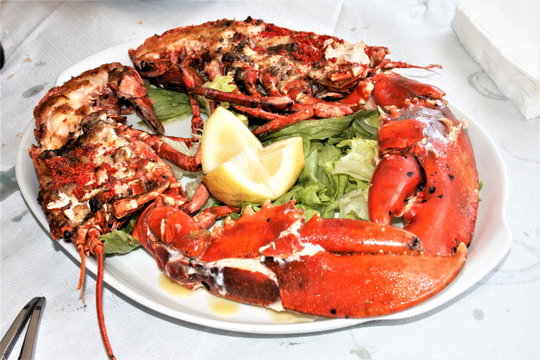 Lubrigante Images – Browse 44 Stock Photos, Vectors, and Video | Adobe ...