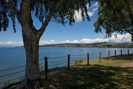 "Jackson Bay" Billeder – Gennemse 280 stockfotos, vektorer og videoer ...