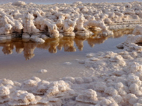 Geosel Images – Browse 38 Stock Photos, Vectors, and Video | Adobe Stock