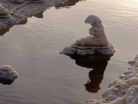 Geosel Images – Browse 38 Stock Photos, Vectors, and Video | Adobe Stock