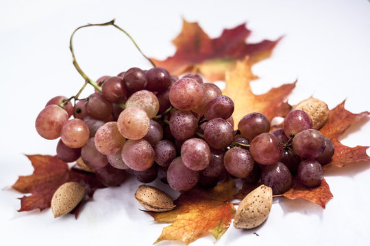 รูปภาพPacharan – เลือกดูภาพถ่ายสต็อก เวกเตอร์ และวิดีโอ161 | Adobe Stock