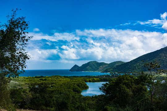 Imágenes de Patanemo: descubre bancos de fotos, ilustraciones, vectores ...