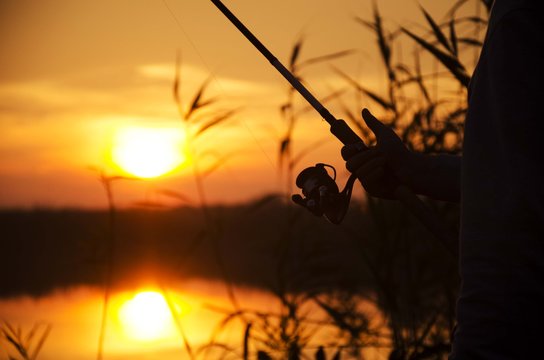 "Fishing Background" Images – Browse 1,437 Stock Photos, Vectors, and ...