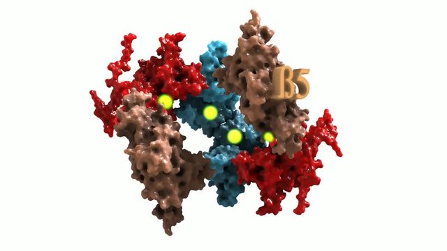 Proteolyse bilder – Bläddra bland 20 stockfoton, vektorer och videor ...