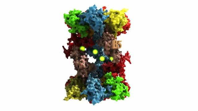 Proteolyse bilder – Bläddra bland 20 stockfoton, vektorer och videor ...