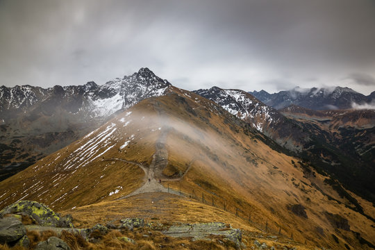 รูปภาพSucha – เลือกดูภาพถ่ายสต็อก เวกเตอร์ และวิดีโอ1,783 | Adobe Stock