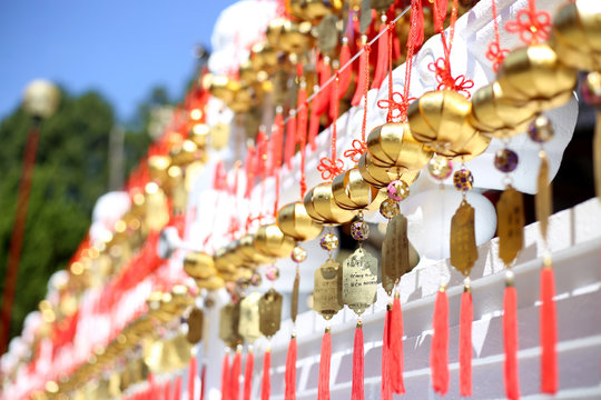 Atherom Bilder – Durchsuchen 2,513 Archivfotos, Vektorgrafiken und ...