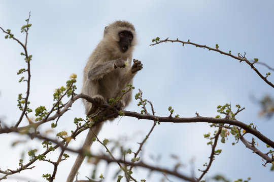 รูปภาพAnia – เลือกดูภาพถ่ายสต็อก เวกเตอร์ และวิดีโอ2,236 | Adobe Stock