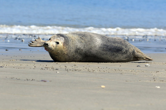 Winkender bilder – Bläddra bland 131 stockfoton, vektorer och videor ...