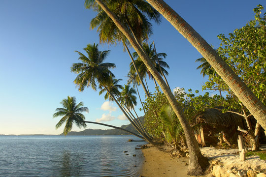 Polinezja Images – Browse 56 Stock Photos, Vectors, and Video | Adobe Stock