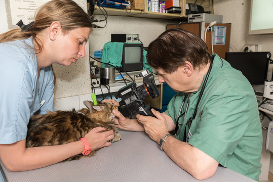 Collyre Images – Browse 60 Stock Photos, Vectors, and Video | Adobe Stock