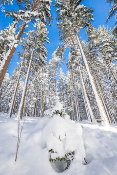 Klt Images – Browse 60 Stock Photos, Vectors, and Video | Adobe Stock