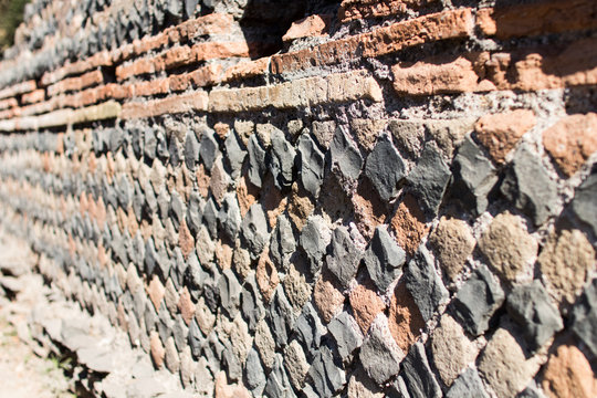 Opus Images – Browse 49 Stock Photos, Vectors, and Video | Adobe Stock