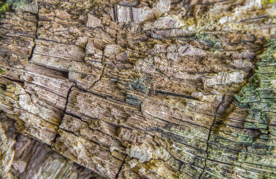 Aufgeteilt bilder – Bläddra bland 181 stockfoton, vektorer och videor ...