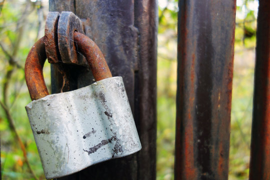 Insupportable bilder – Bläddra bland 459 stockfoton, vektorer och ...