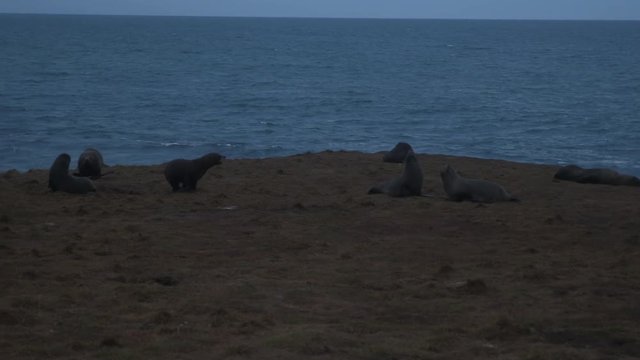 Oamaru-Bilder: Stock-Fotos & -Videos. | Adobe Stock