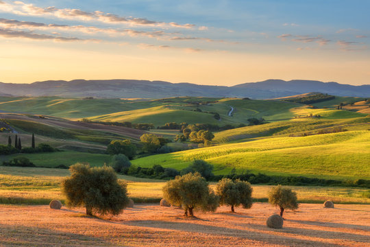 Free Farm Images – Browse 31,373 Free Stock Photos, Vectors, and Video ...