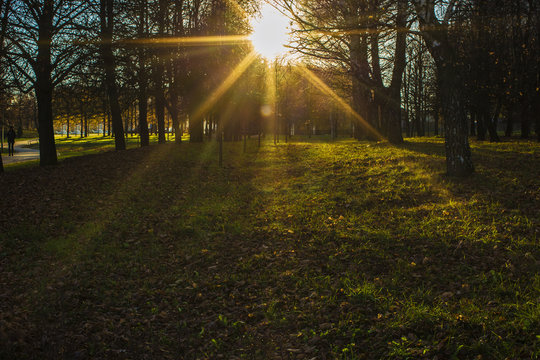 "Sun Lighting" Images – Browse 1,589 Stock Photos, Vectors, and Video ...